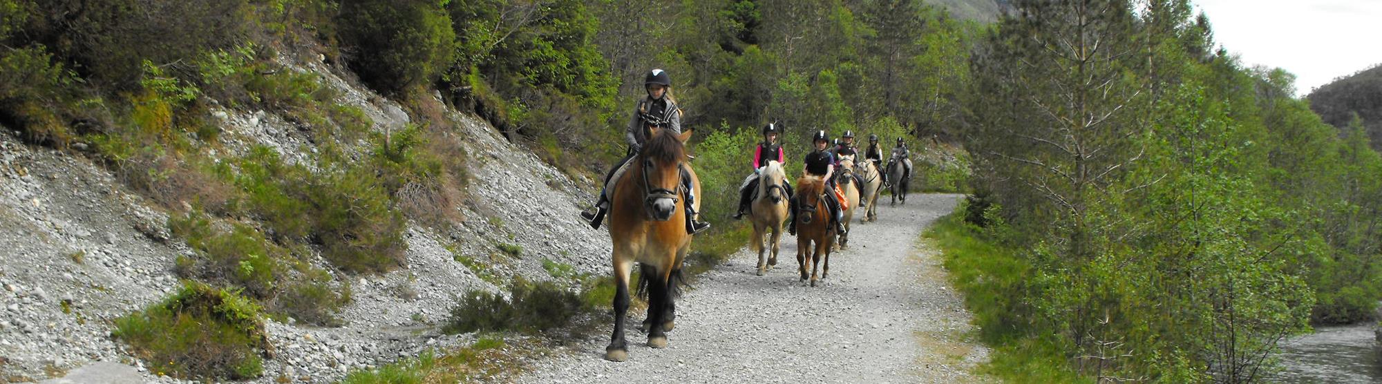 Horse Riding in Bergen - visitBergen.com