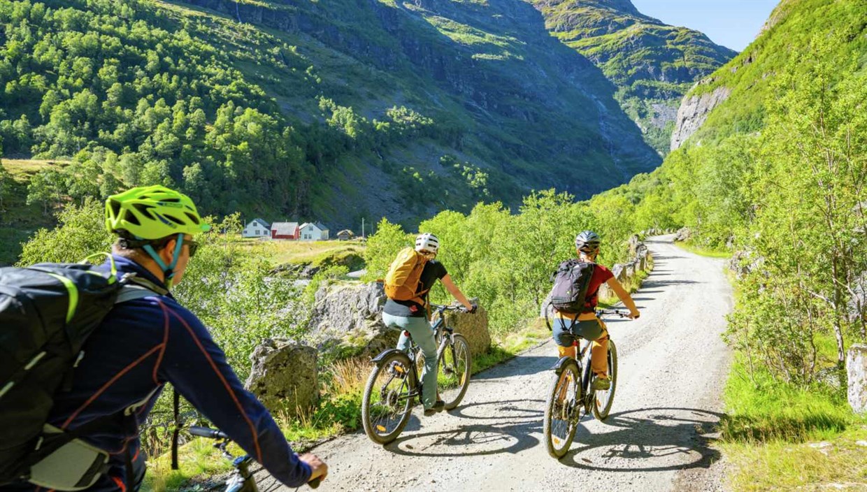 Myrdal, Norway - all you need to know before visiting - visitBergen.com