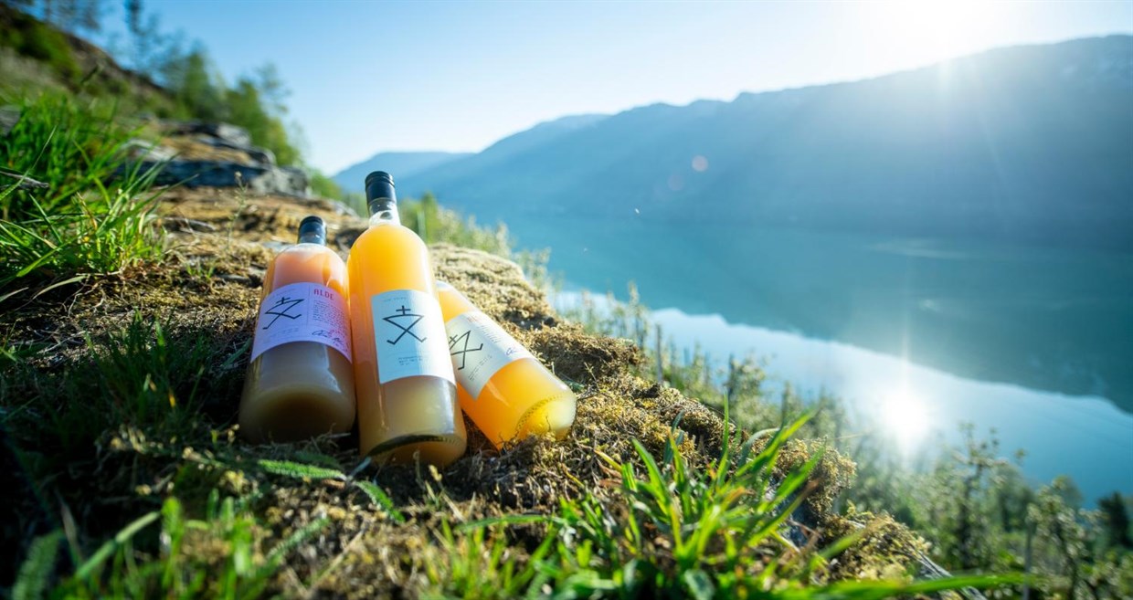 Apples from Hardanger - the best in Norway - visitBergen.com