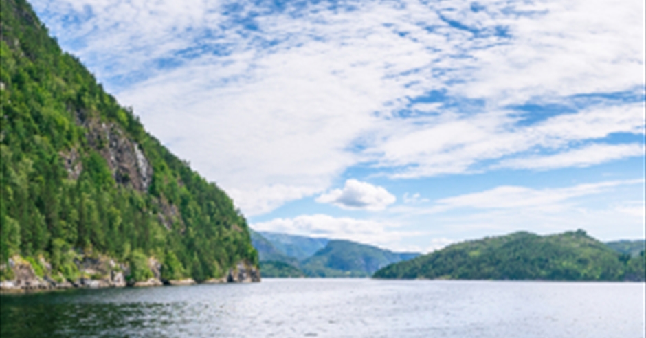 Bergen - The heart of the fjords