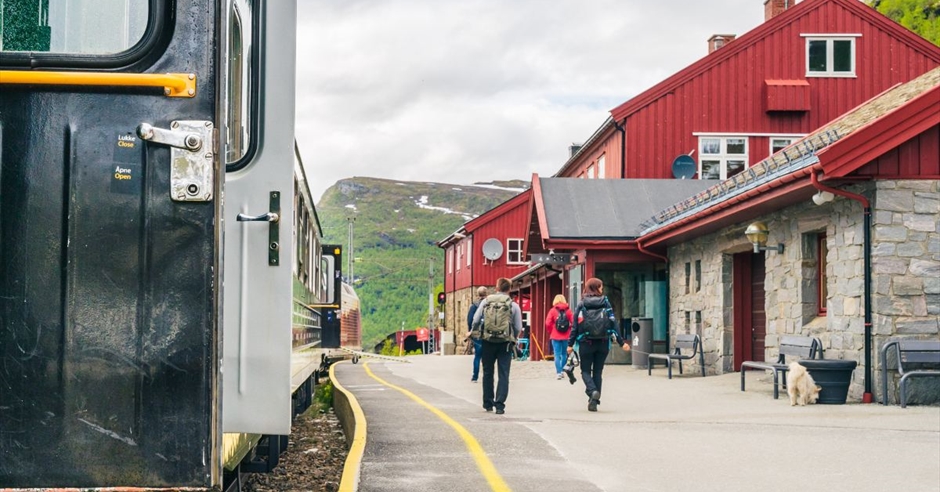 Myrdal, Norway - all you need to know before visiting - visitBergen.com