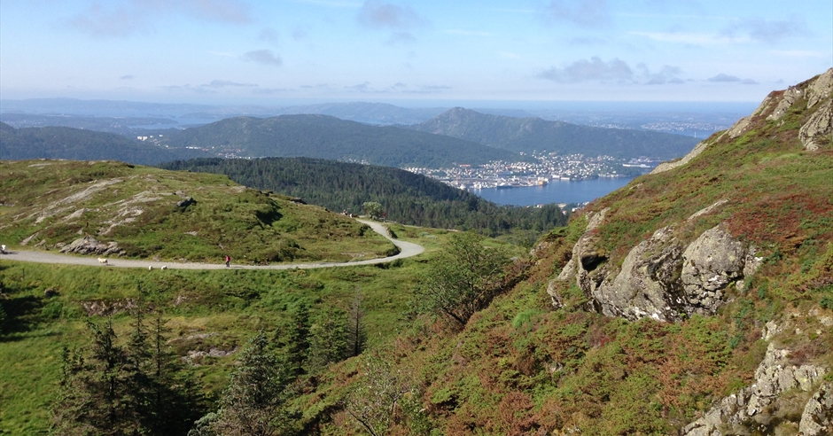 Vidden hike from Ulriken to Fløyen - visitBergen.com