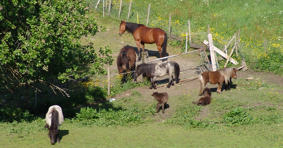 Alver Hotel - Alversund - visitBergen.com