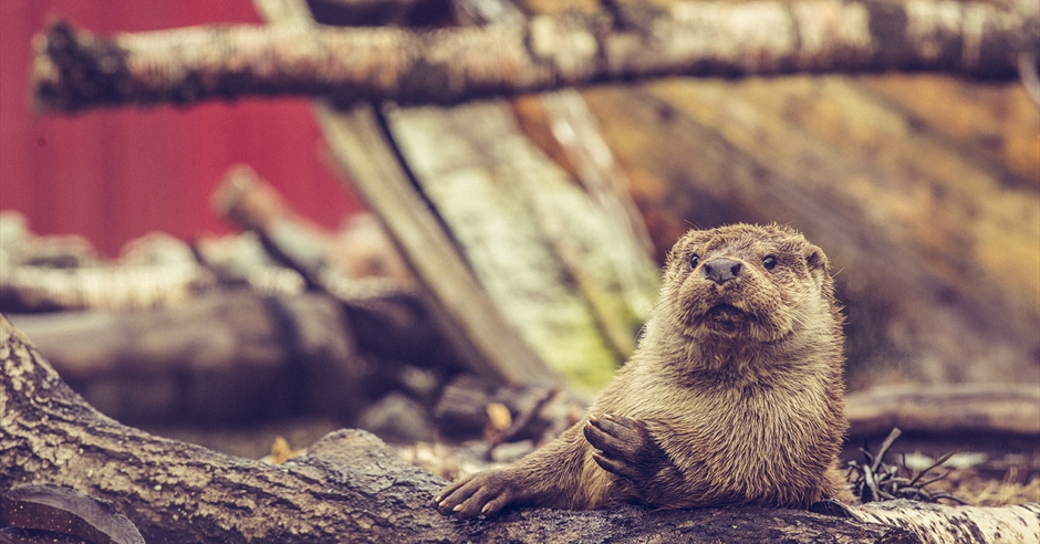 Bergen Aquarium - visitBergen.com